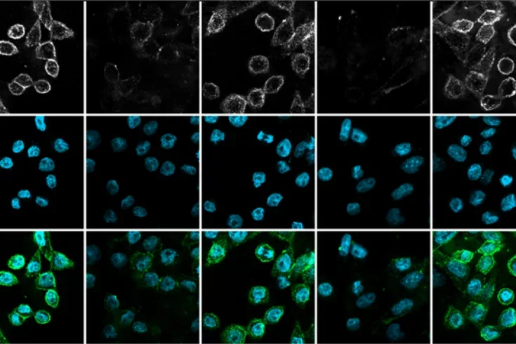 Publications | Young Research Lab